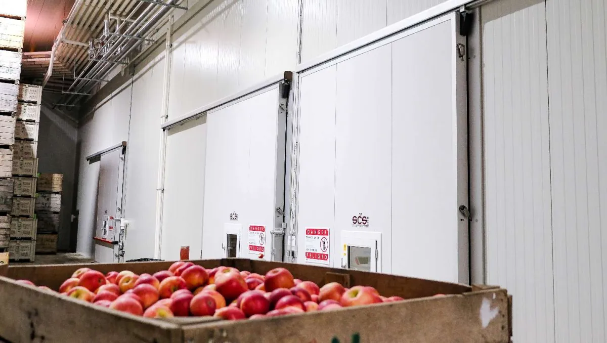 Where to Buy Cold Room Panels High Quality PU PIR Insulation Panels ...